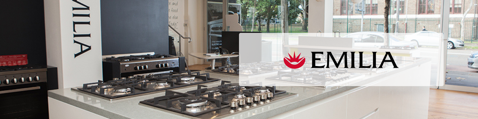 Buy Online Factory second Emilia dual fuel freestanding Gas Oven ...